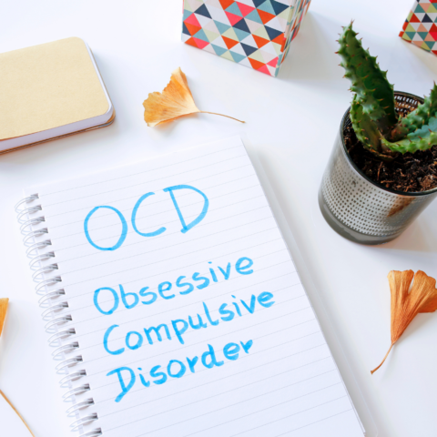 OCD vs. Perfectionism: What Is The Difference? Rachel Butler Counseling
